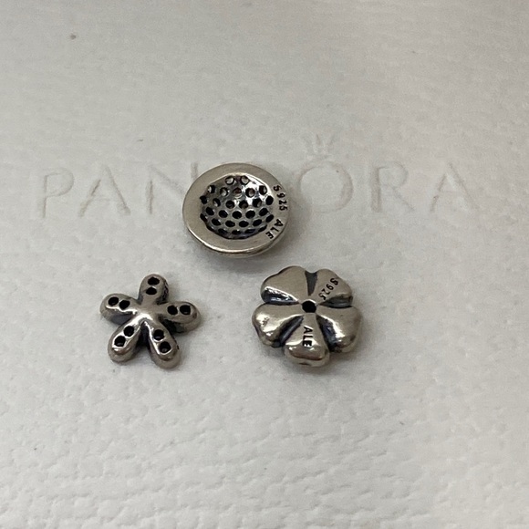 Pandora | Jewelry | New Pandora Silver Floating Locket Petites Charm ...